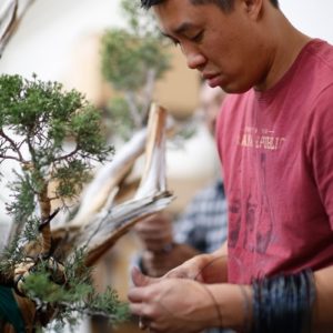 Bonsai Classes & Workshops - Eastern Leaf Knowledge Base