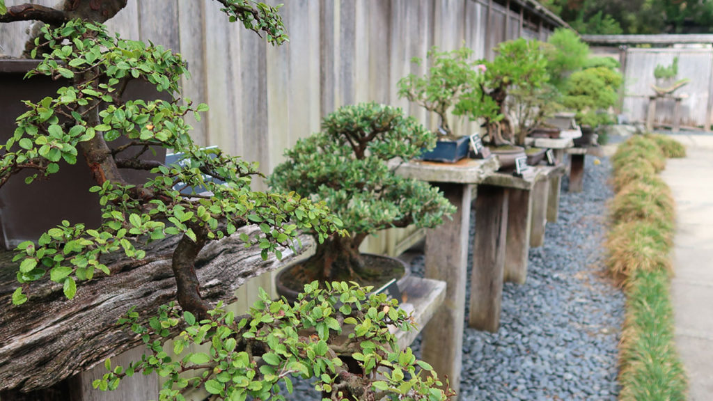 Garden Tours Archives - Eastern Leaf Knowledge Base