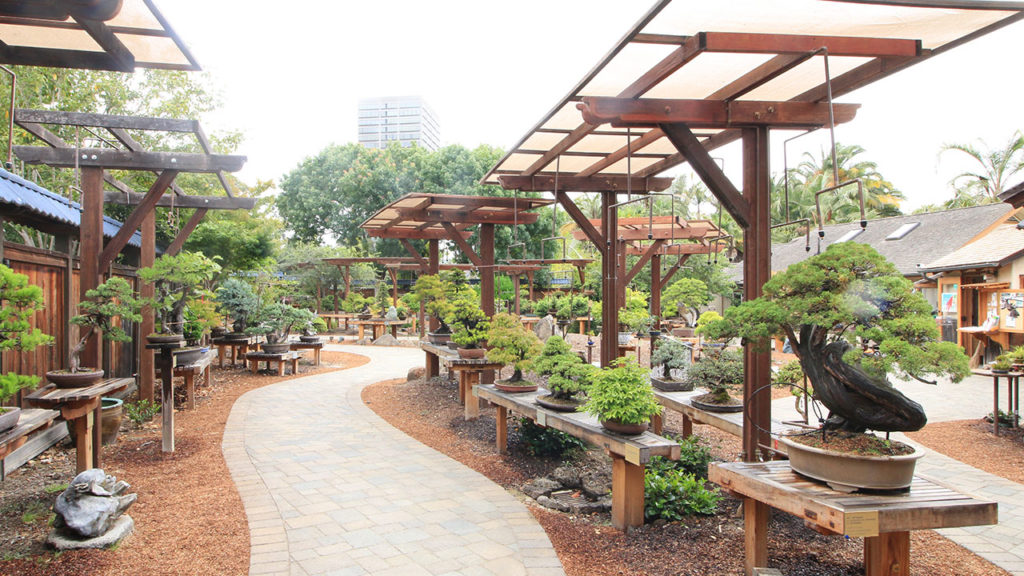 Videos Archives - Page 3 of 4 - Eastern Leaf Knowledge Base