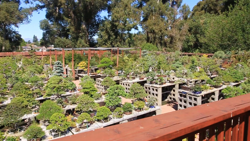 Garden Tours Archives - Eastern Leaf Knowledge Base