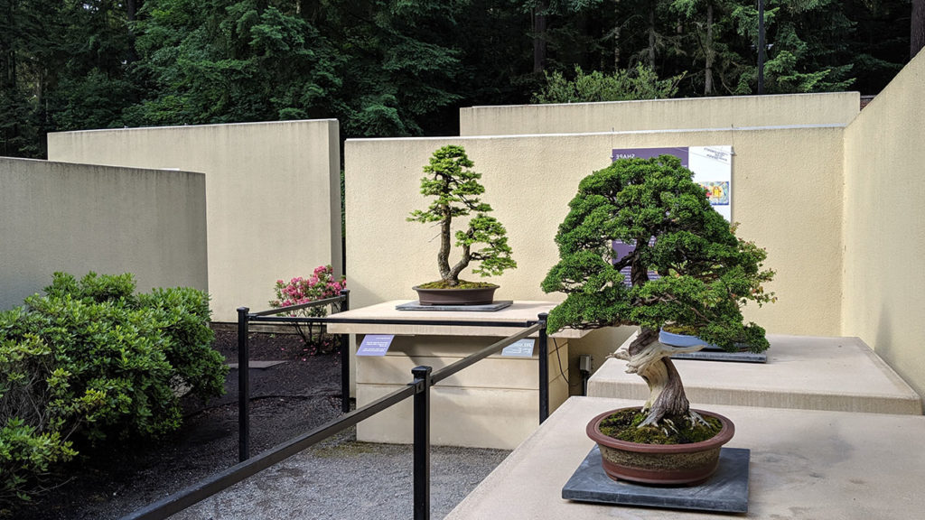 Videos Archives - Page 2 of 4 - Eastern Leaf Knowledge Base