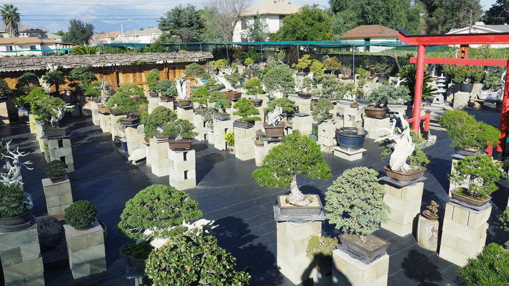 Garden Tours Archives - Eastern Leaf Knowledge Base